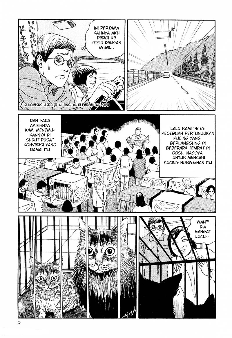 Baca Komik Junji Ito Cat Diary Bahasa Indonesia [Chapter 1] - Manga Coin