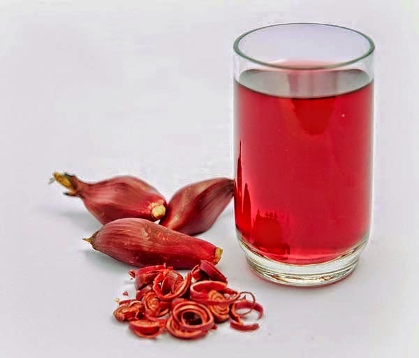 Cara Membuat ZPT Bawang Merah sebagai Perangsang Akar dan Tunas Alami ...