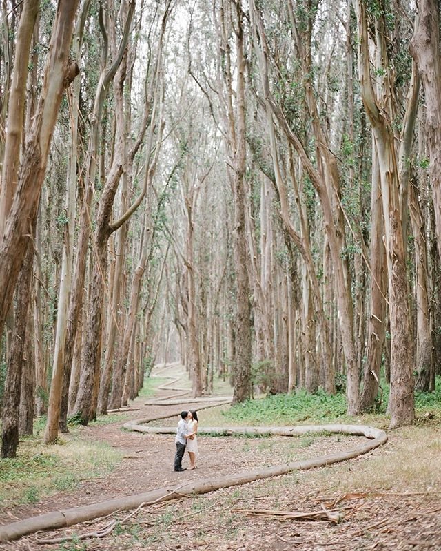 The Holiday And Travel Magazine Outdoor Activities In San Francisco the-holiday-and-travel-magazine-outdoor-activities-in-san-francisco