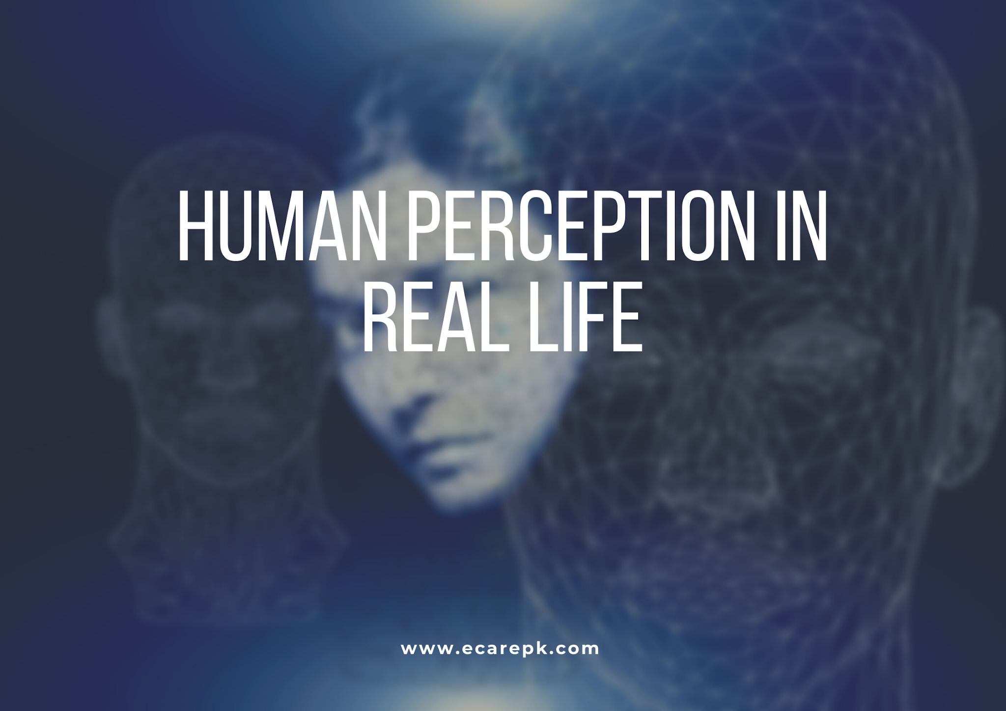 Human Perception in Real Life and Spatial Awareness // Neurology