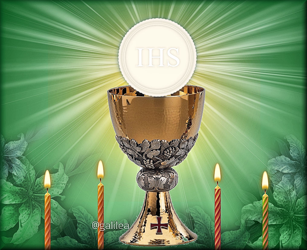 Jesús el Tesoro Escondido: Gracias, Jesús Eucaristía