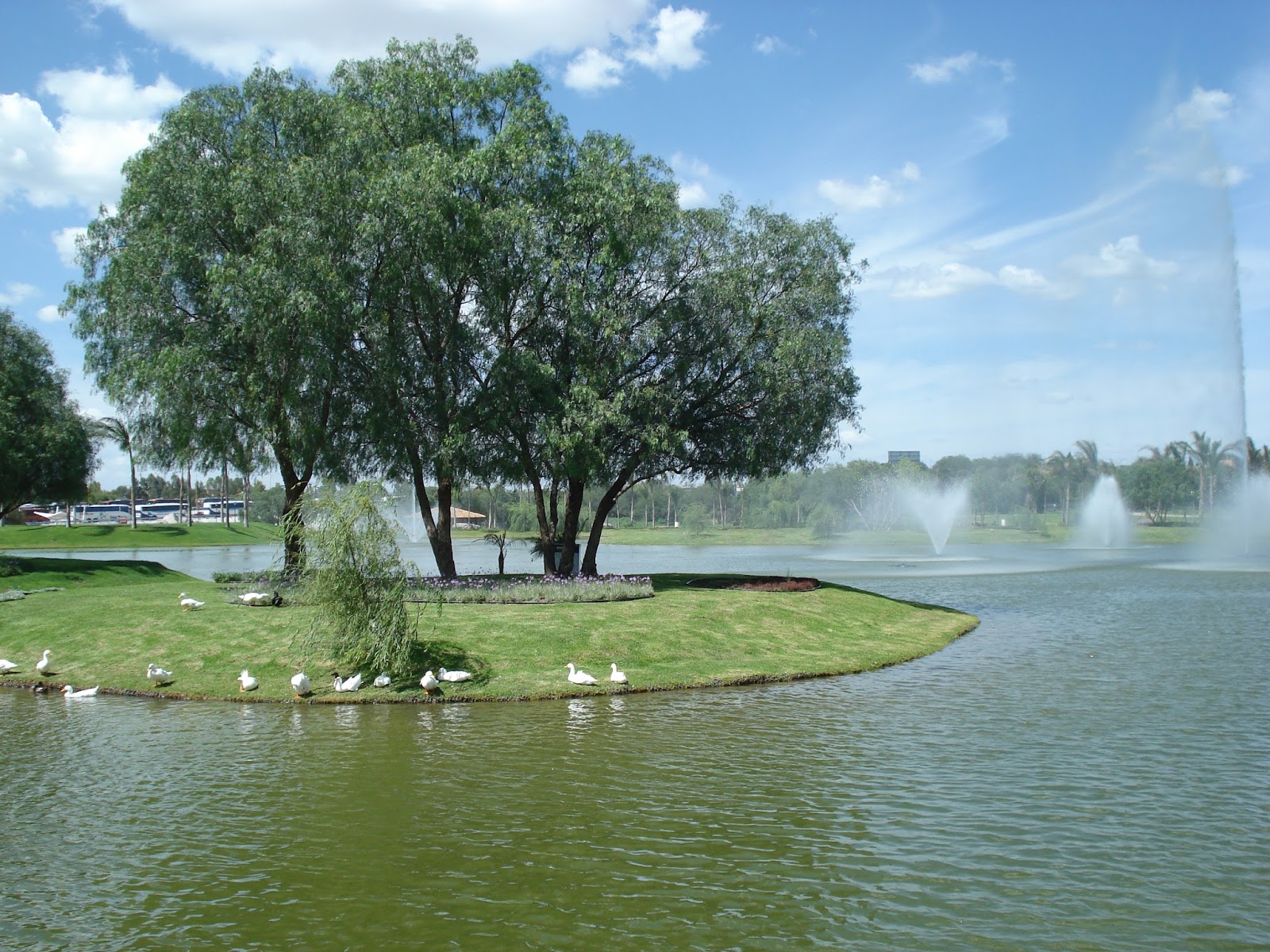 viva aguascalientes: Isla San Marcos