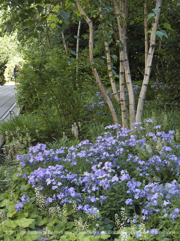 Three Dogs in a Garden: Gardens of the High Line– Book Review and Giveaway