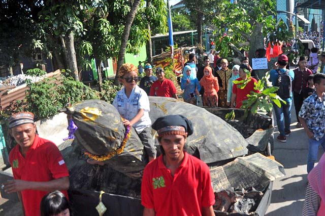 Bulus, Duku, dan Seruan Jaga Lingkungan dari Tradisi Bulusan ~ omonganem