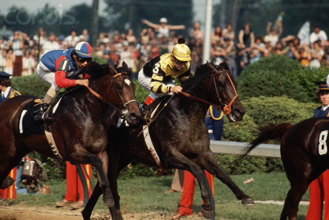 Keep Turning Left!: Seattle Slew- "Baby Huey"