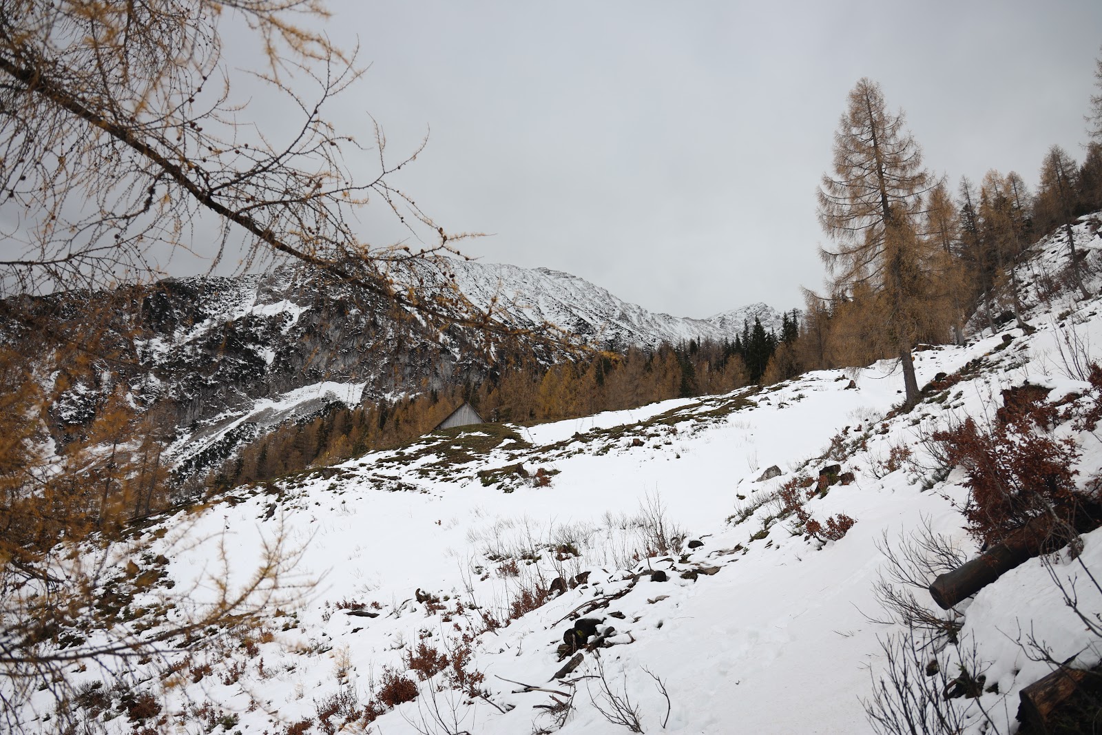 Winterzauber am Mannsberg - Entdeckungsreise durch die Natur - die ...