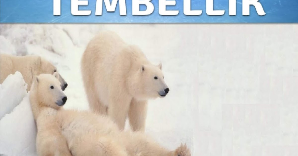 Tembellik Nedir ? | İNCİLAY