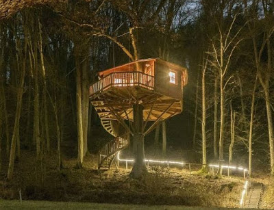 Are you ready for a treehouse? | Opinion - Conservative | Before It's News