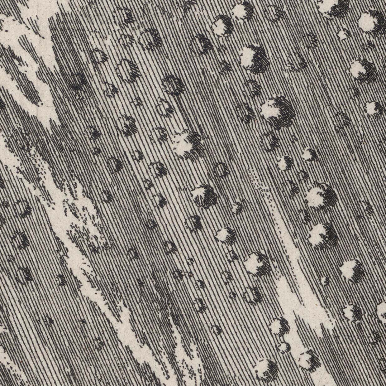 Prints and Principles: Jan Luyken’s etching, “The Plague of Fiery Hail ...