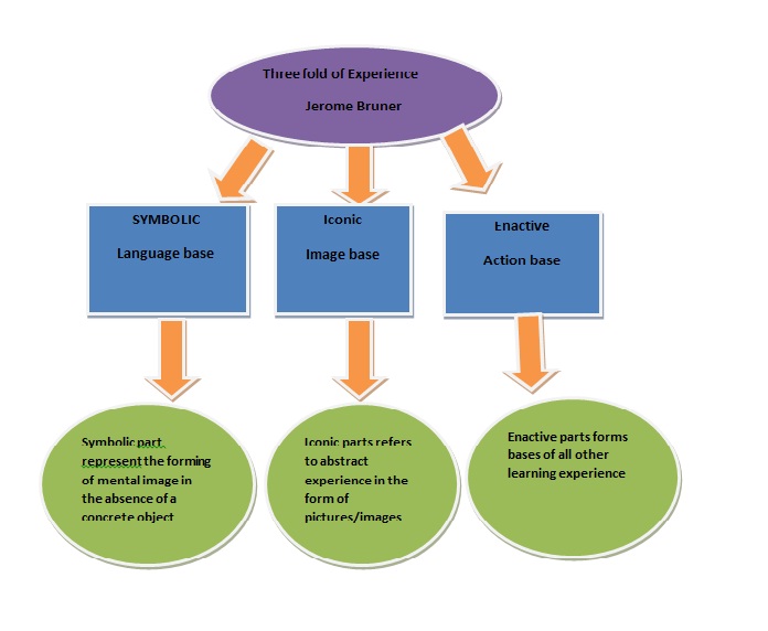 Bruner Three Fold Analysis