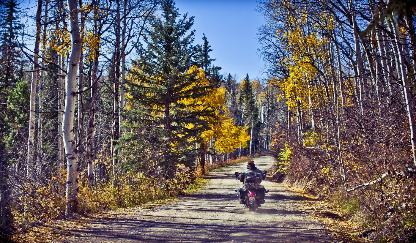 I AM DON WOOD: The Rambling Road