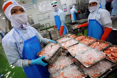 Understand Frozen Shrimp Factory Processing Step by Step - Frozen ...