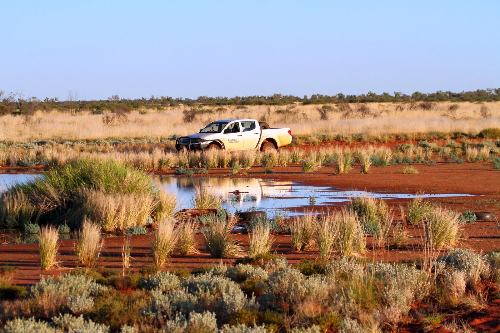 Richard Waring's Birds of Australia: Bird and scenery photos from ...