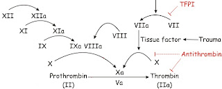 Sonoclot Activated Clotting Time ACT Machine is better than other ACT ...