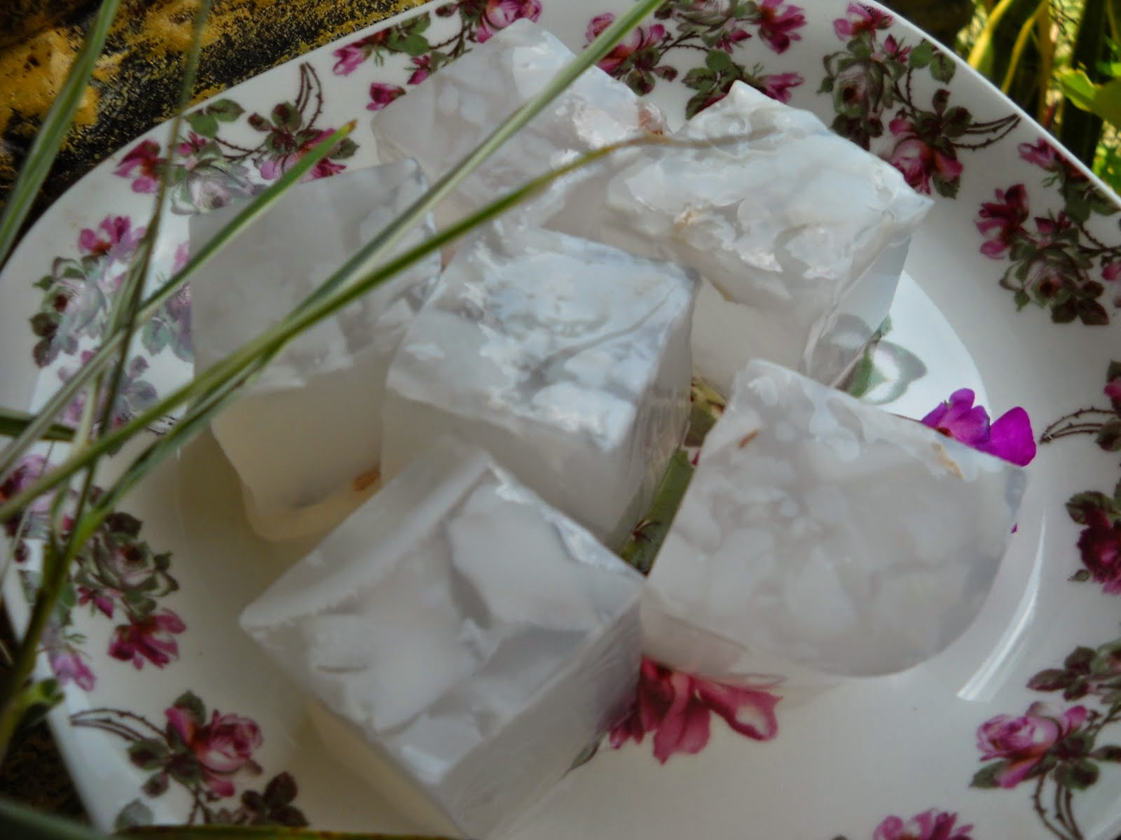 Resep Cara Membuat Agar-Agar Lapis Kelapa Muda - RESEP MASAKAN TERBARU