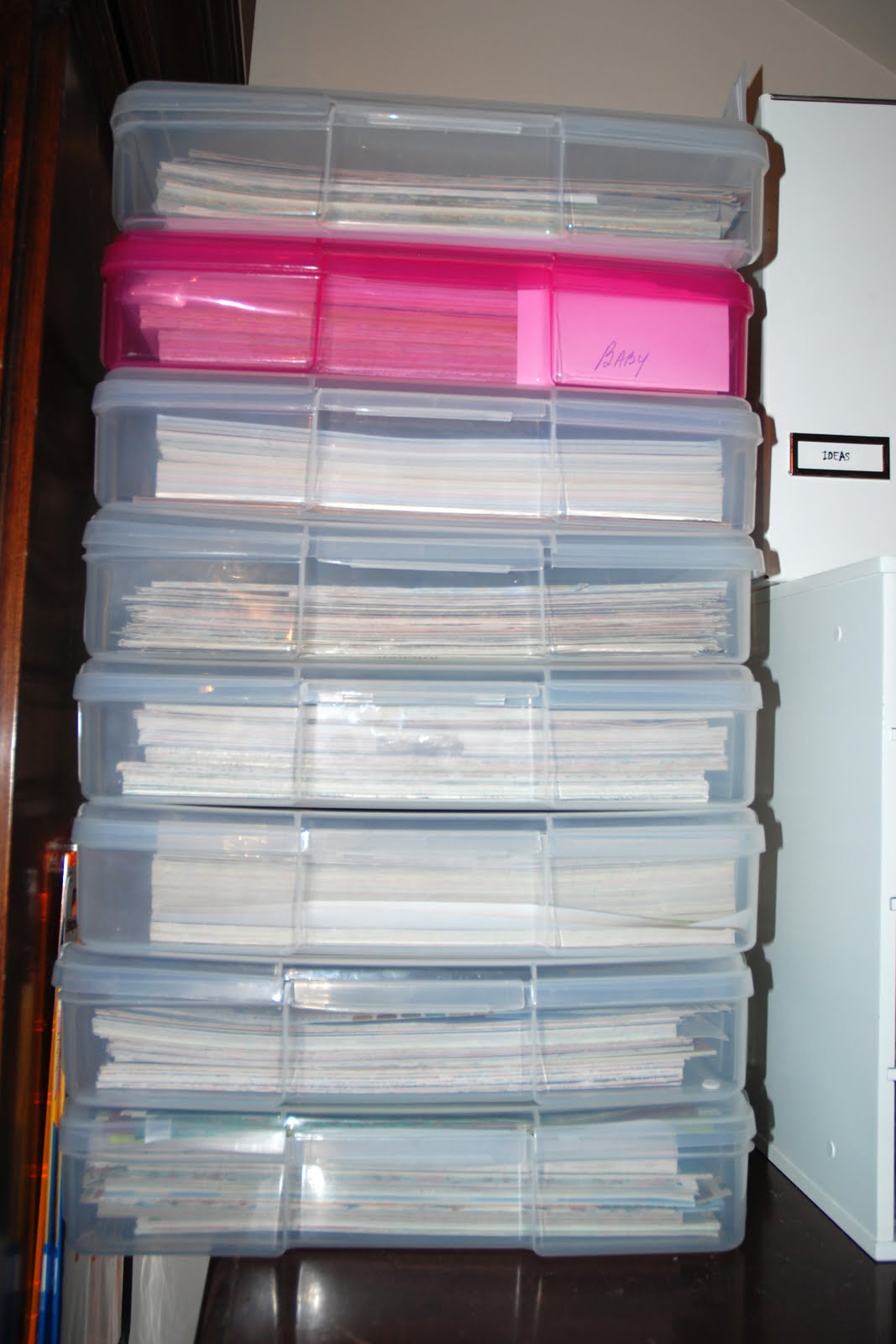 CardMonkey's Paper Jungle: Part II: Organizing Papers