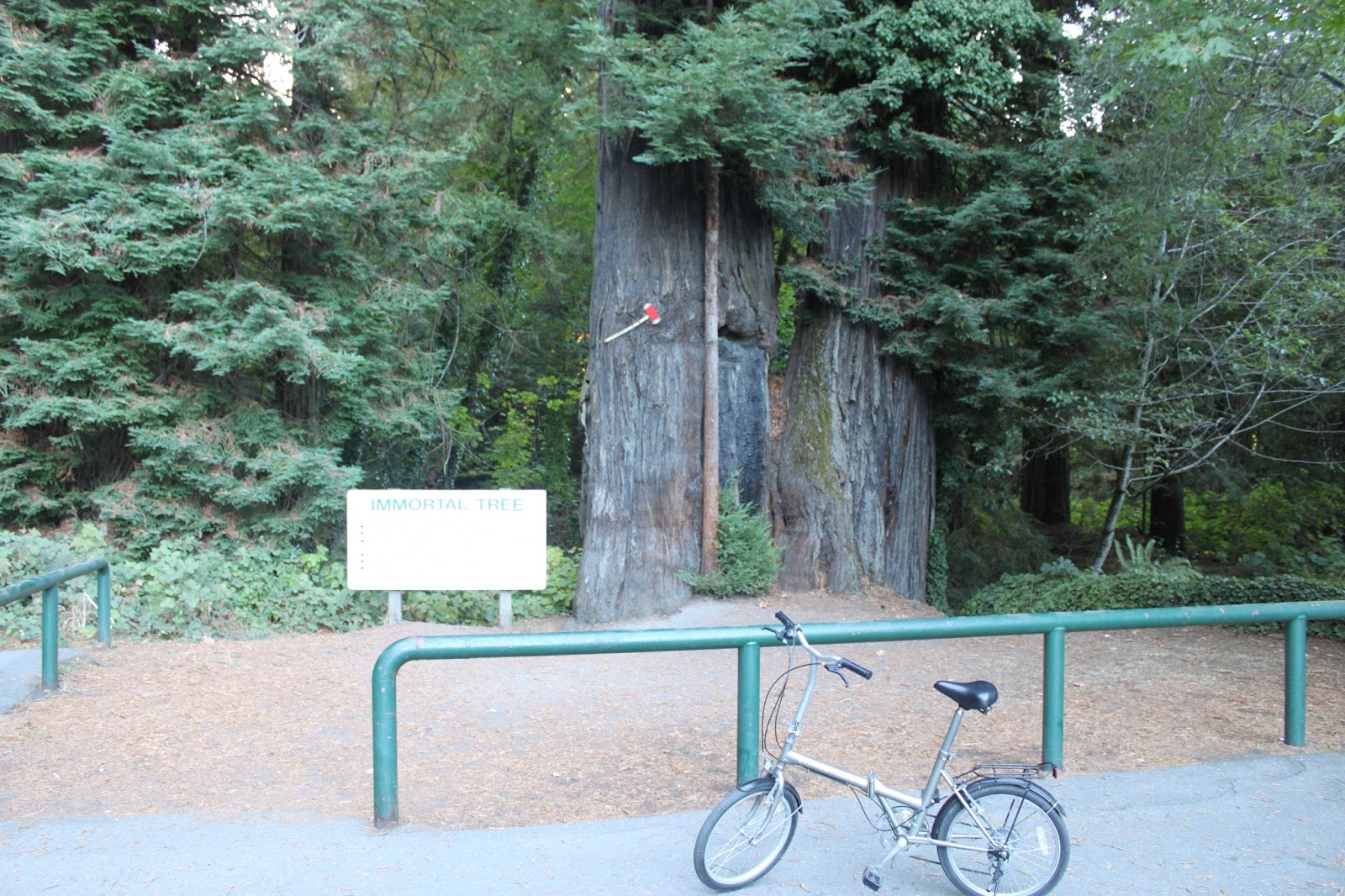 Lloyds of Felton: Immortal Tree