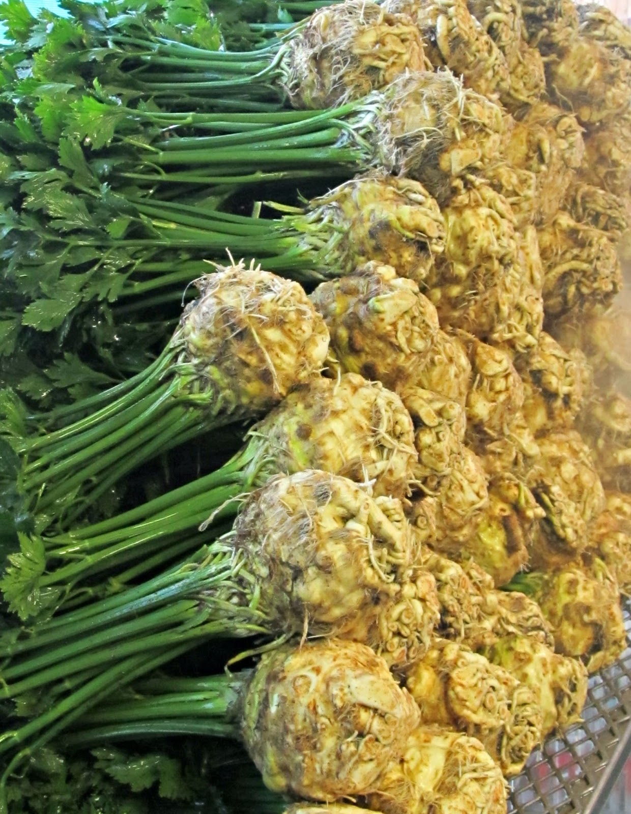 Harmony Valley Farm: Celeriac, Leeks & Amara Greens...Shifting Gears ...