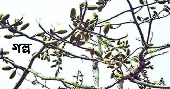 ঋতবাক: গল্প - পিউ মহাপাত্র