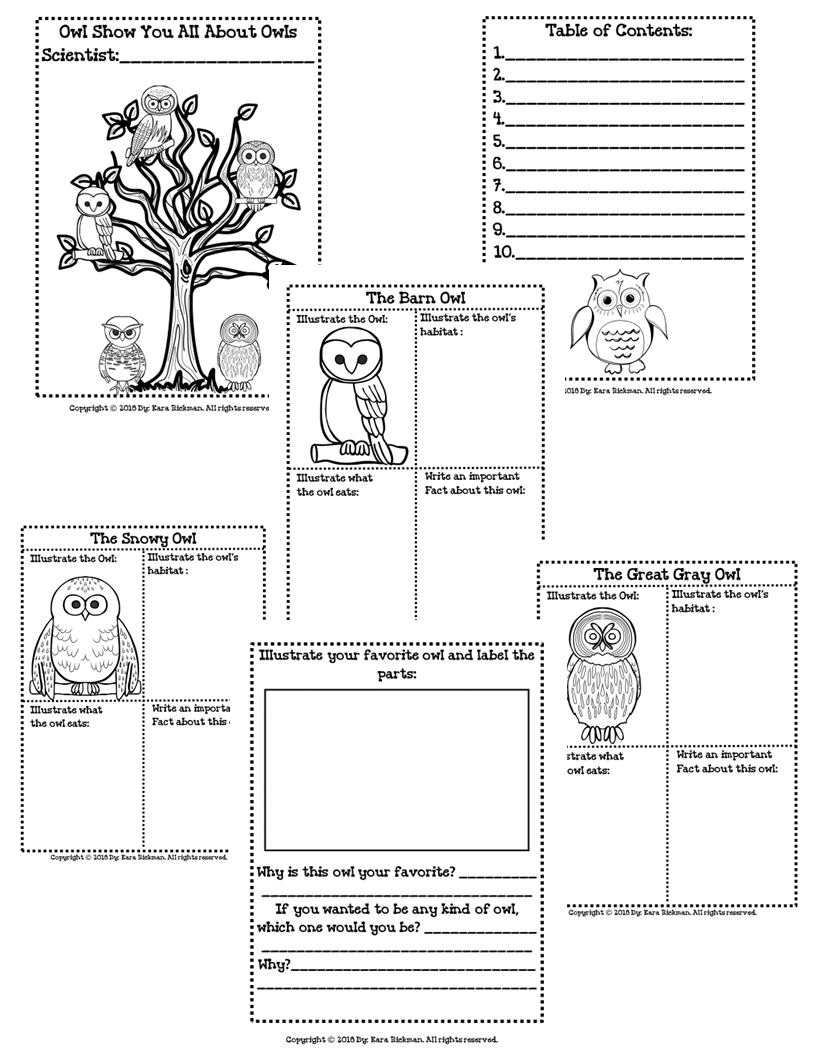 Create Your Balance With Literacy