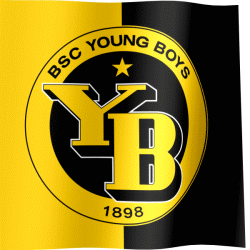 Young Boys Fan Flag (GIF) - All Waving Flags
