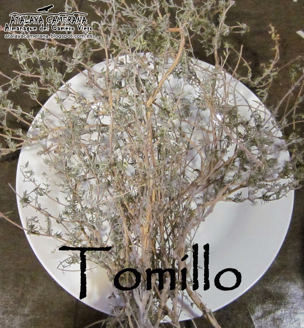 Atalaya Camerana - Almanaque del Camero Viejo: noviembre 2014