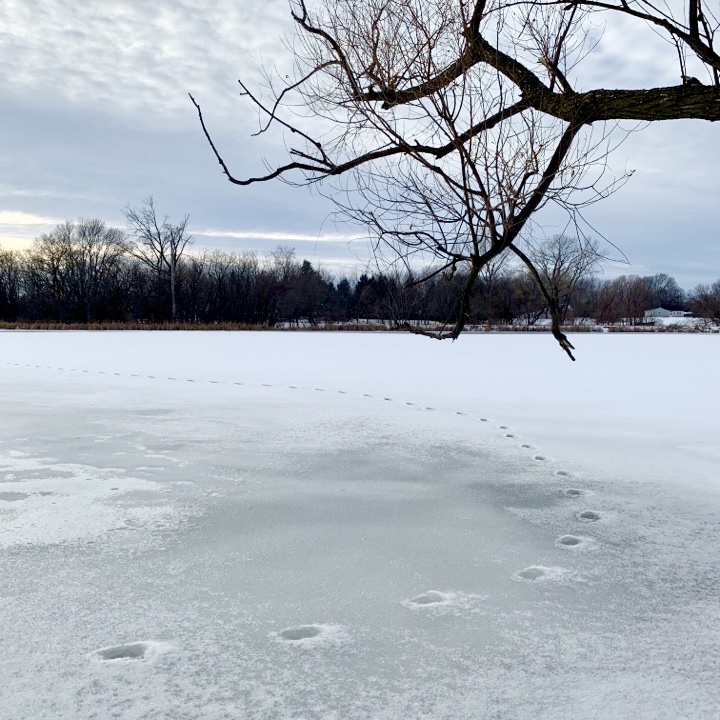 Ankeny: Carney Marsh