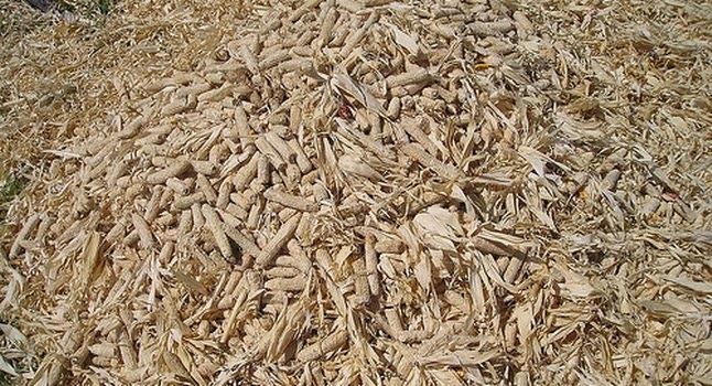 Biomass Industrial Innovative Projects: Pellet Fuel from Corn Cobs and ...