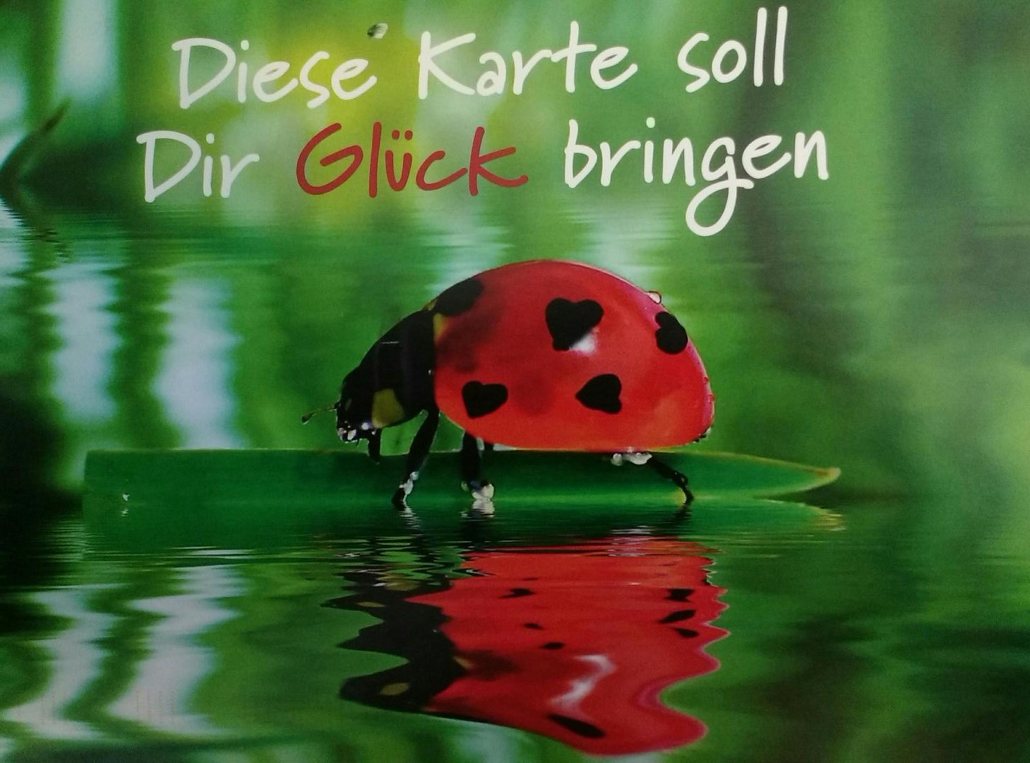 Angels for You: 2019