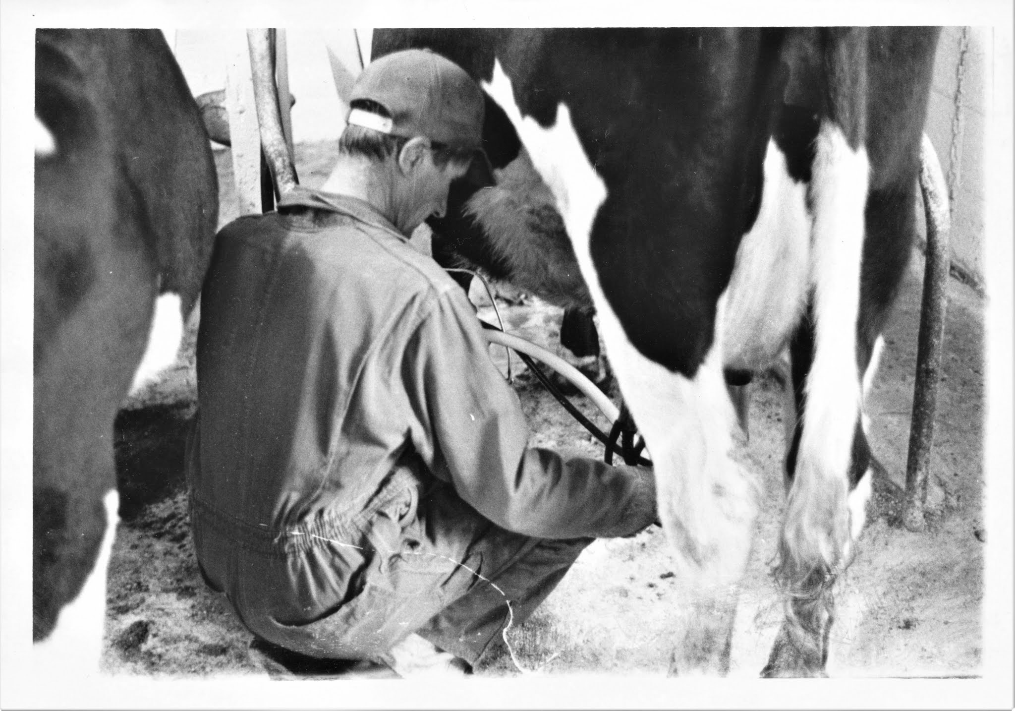 Celebrating Agriculture, 1970s Style