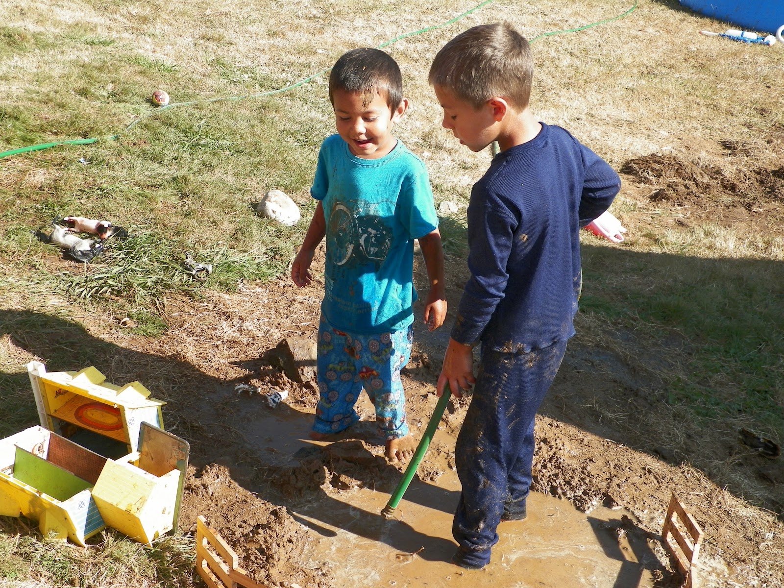 From Cedar Pond to Laughing Dove Farm : Mud Buddies