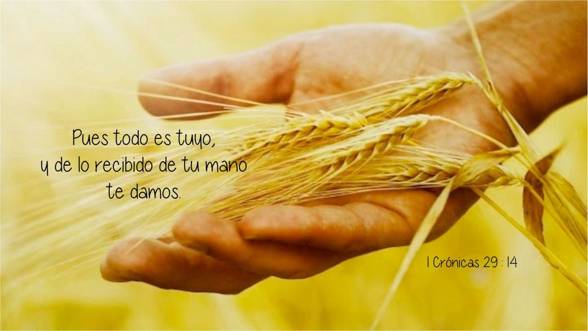 Estudios Biblicos y Doctrina Iglesia de Dios: DE LO RECIBIDO DE TU MANO ... Estudios Biblicos y Doctrina Iglesia de Dios: DE LO RECIBIDO DE TU MANO ...