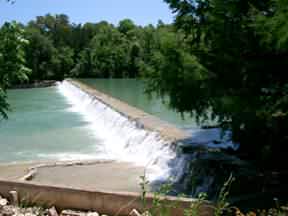 Blanco River Tubing | White Gold