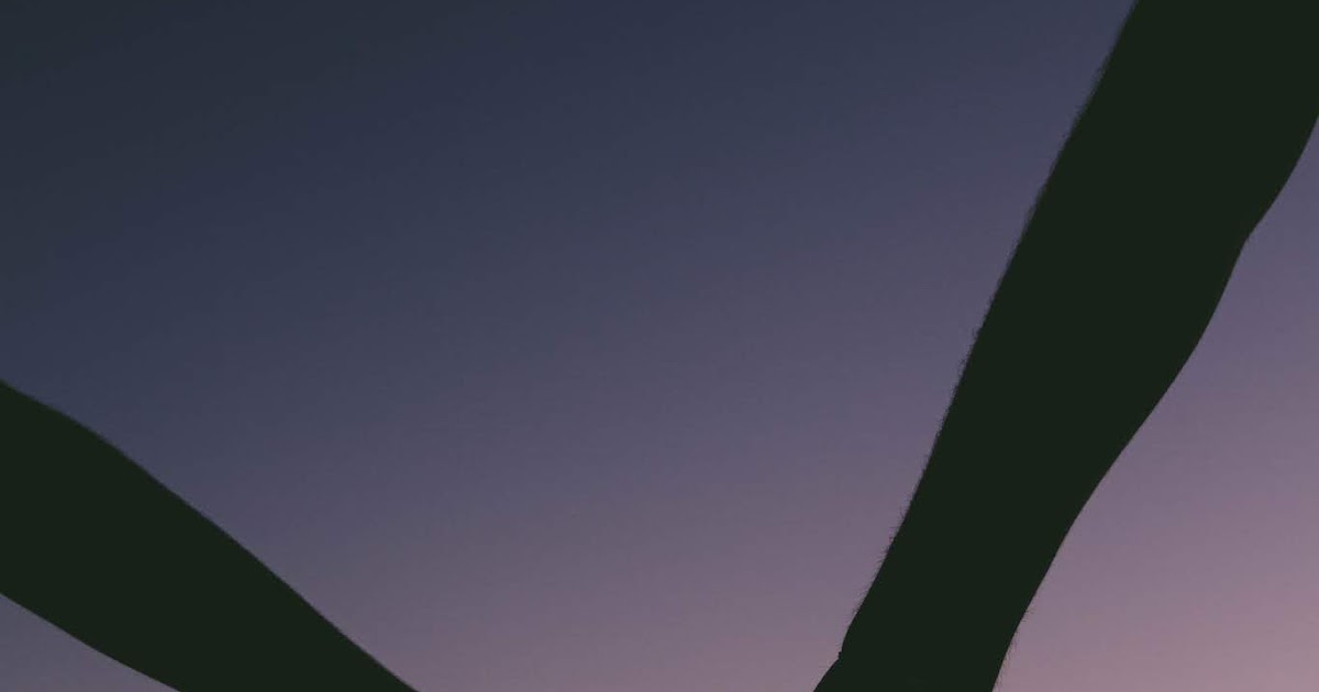 ¿Qué es la Exogamia y la Endogamia? - Antropología social