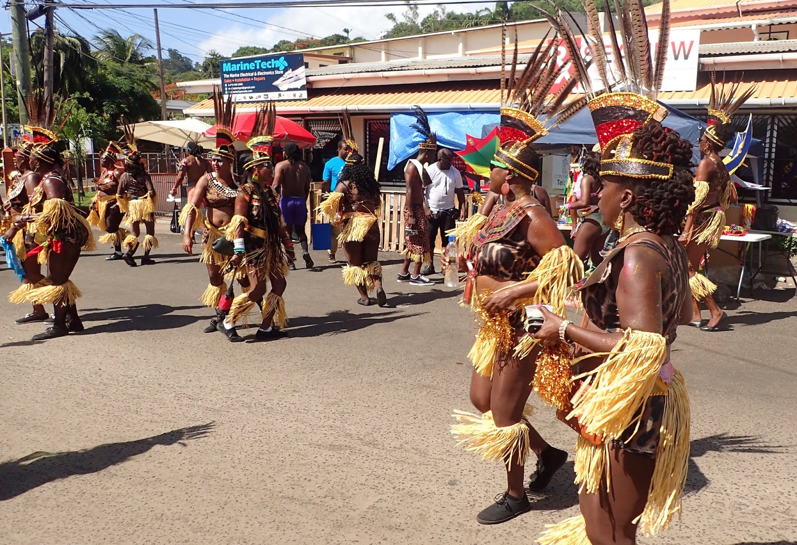 Things we did today...: Come With Me To Pretty Mas Grenada, 2018
