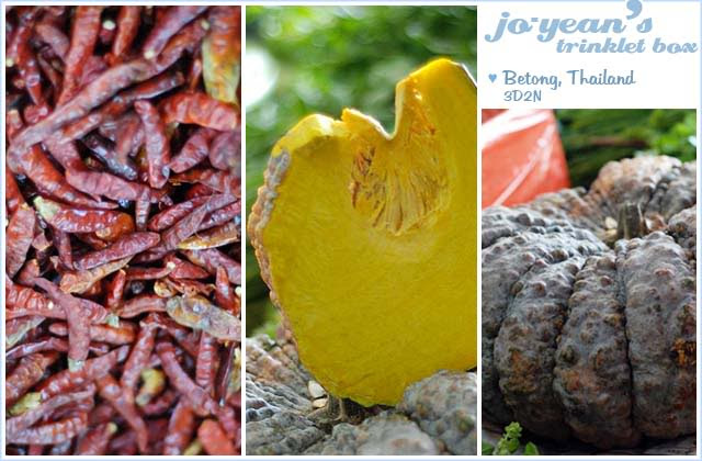 Road Trip to Betong, Thailand - Jo's Journal