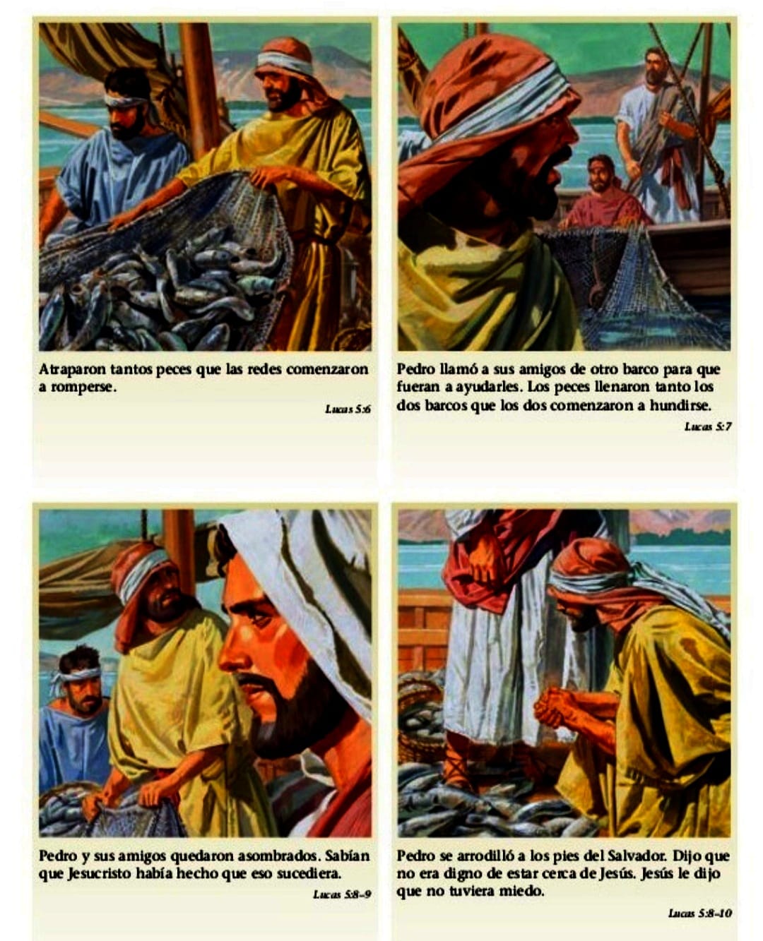 Cuarto Curso: JESÚS ESCOGE A SUS APÓSTOLES Cuarto Curso: JESÚS ESCOGE A SUS APÓSTOLES