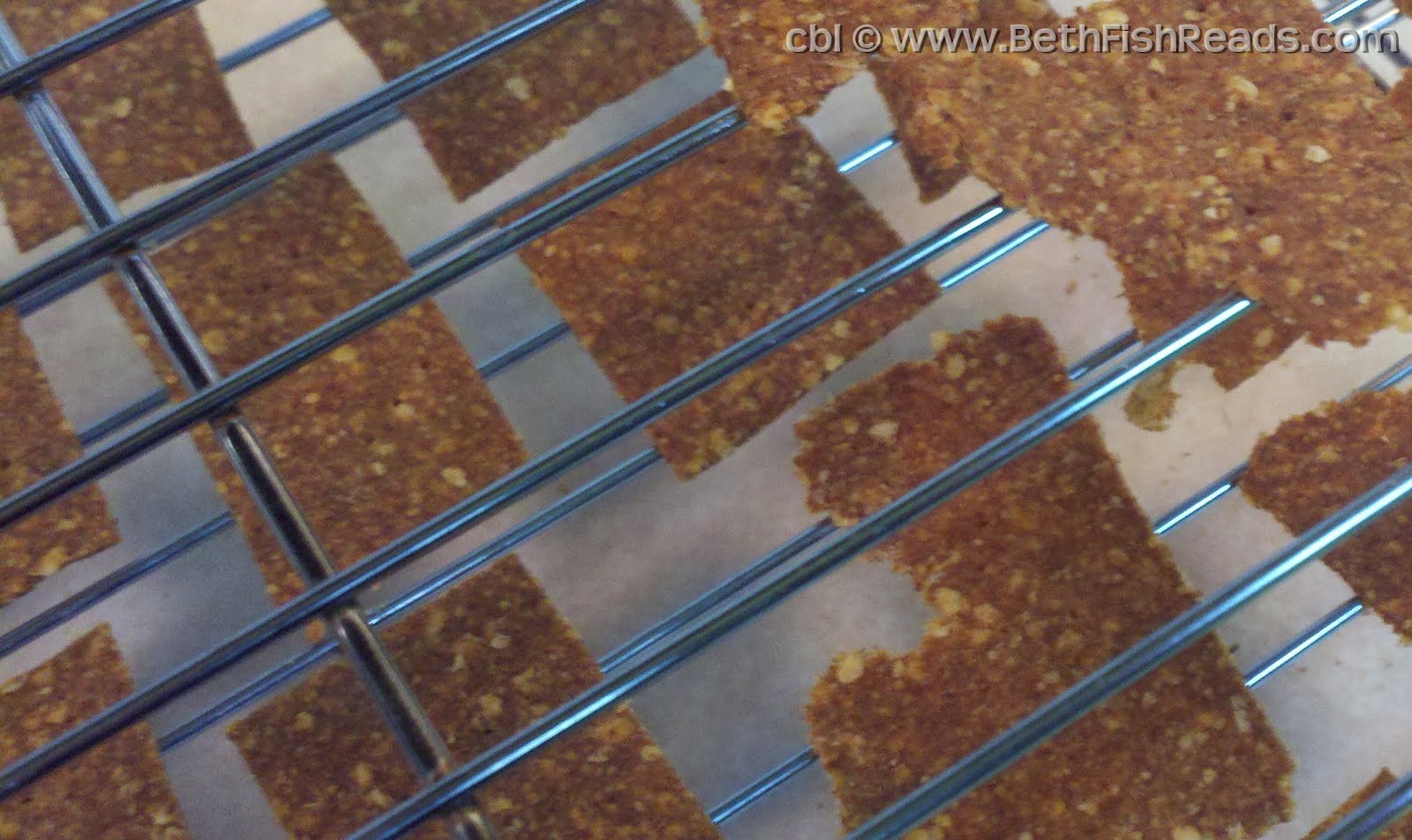 Beth Fish Reads: Weekend Cooking: Homemade Crackers