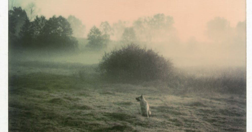 VCU Concepts I: Andrei Tarkovsky