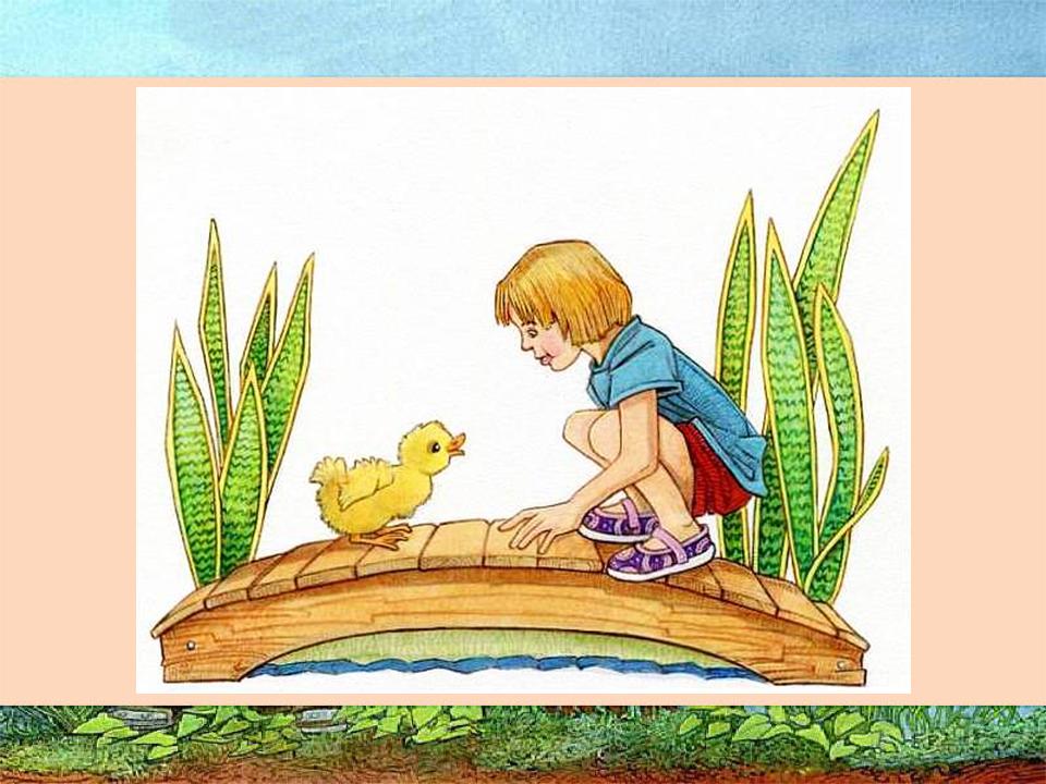 Soloillustratori: Tom Sperling