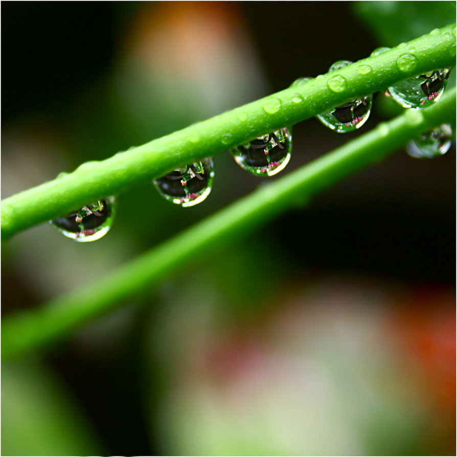 Looking On The Bright Side: :: My Birthday Month 2012 - 5 of My All ...