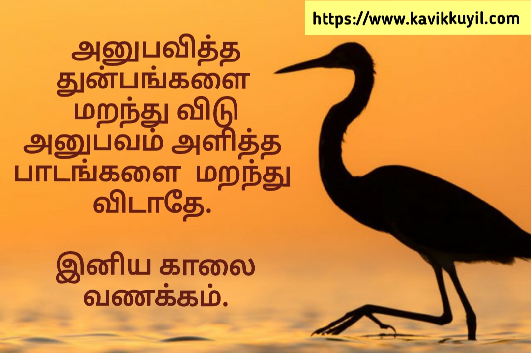 Good Morning Quotes In Tamil good-morning-quotes-in-tamil