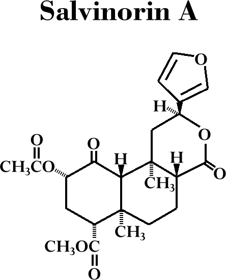 Structural formula of Salvinorin A? : r/Salvia