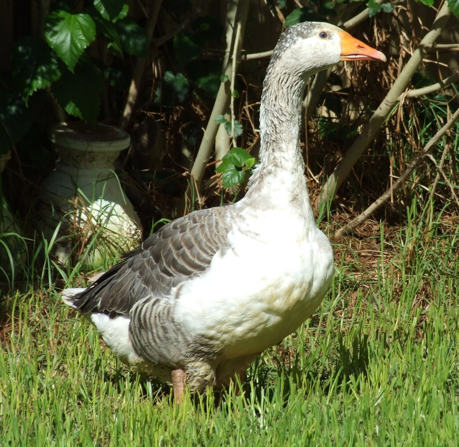 Photo Paper Scissors Glue