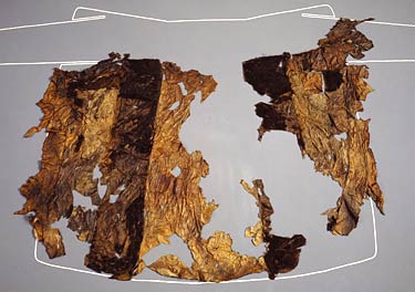 Sciency Thoughts: Identifying the clothes of Ötzi the Iceman.