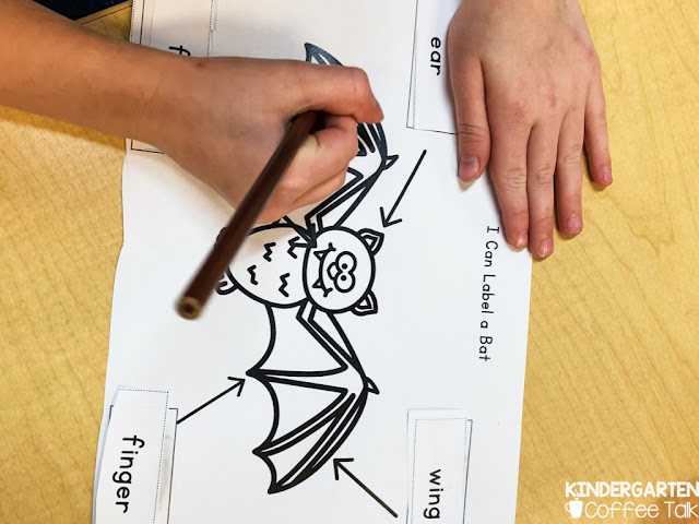 Kindergarten Coffee Talk: Nocturnal Animals Research Project