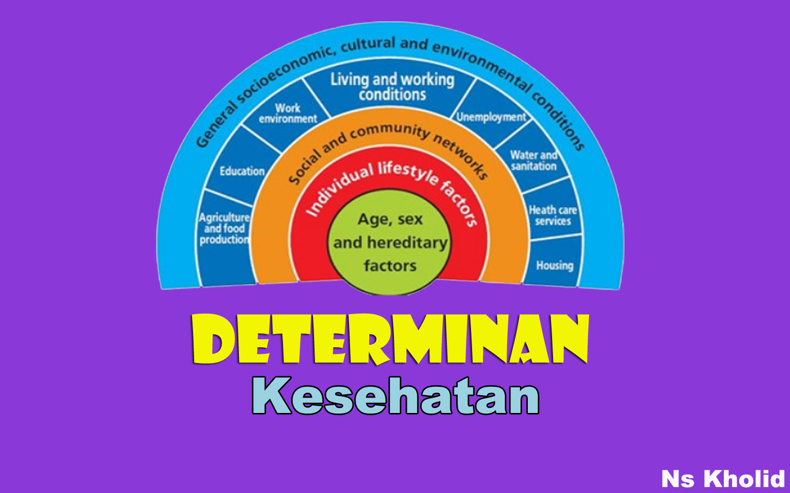 Determinan Kesehatan - Perumperindo.co.id