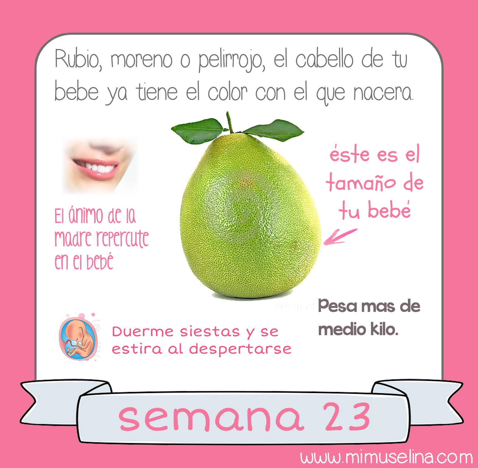 20 Semanas De Embarazo Fotos