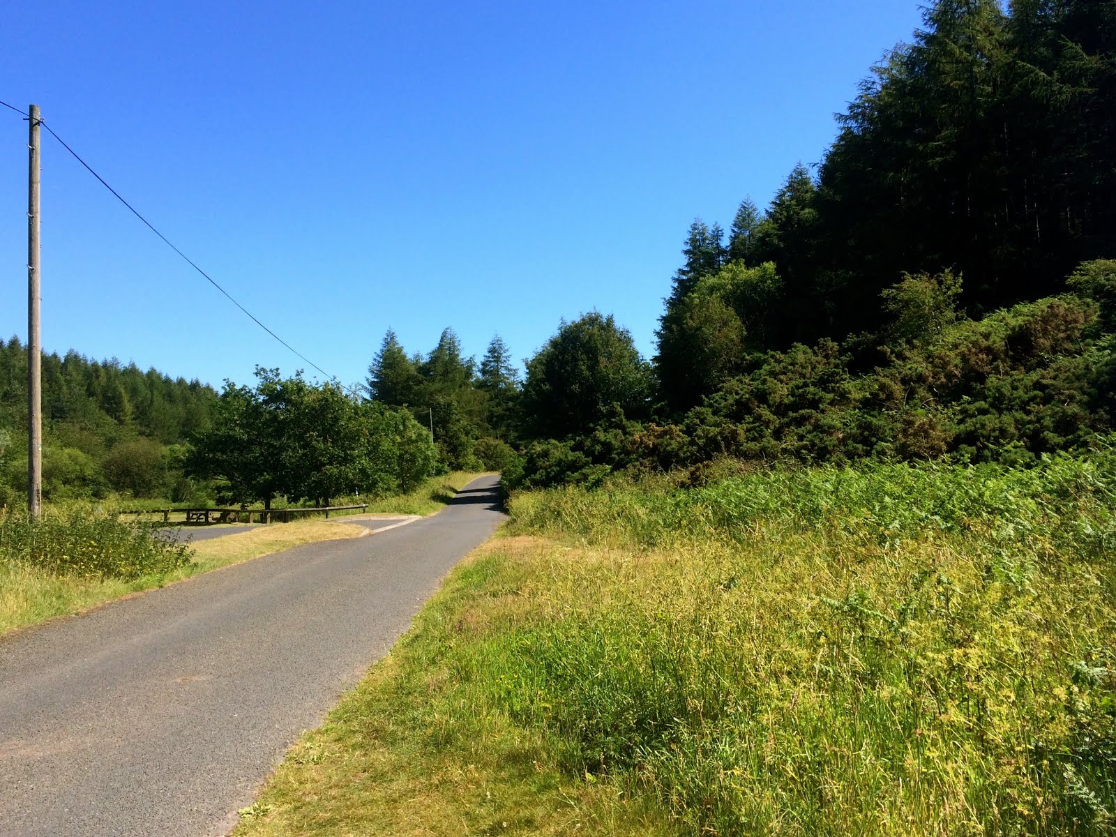 Days out in the Borders : Wooler Common And Earle Circular Walk