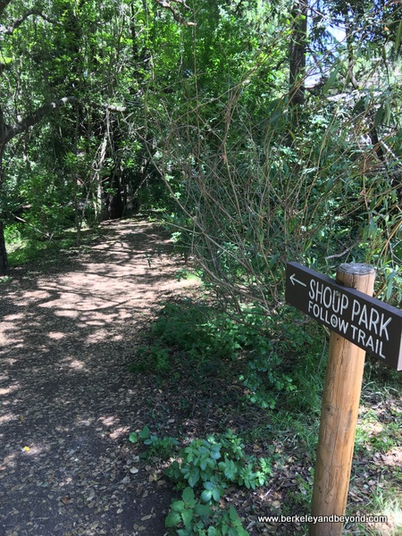 Weekend Adventures Update: Los Altos: Redwood Grove Nature Preserve ...